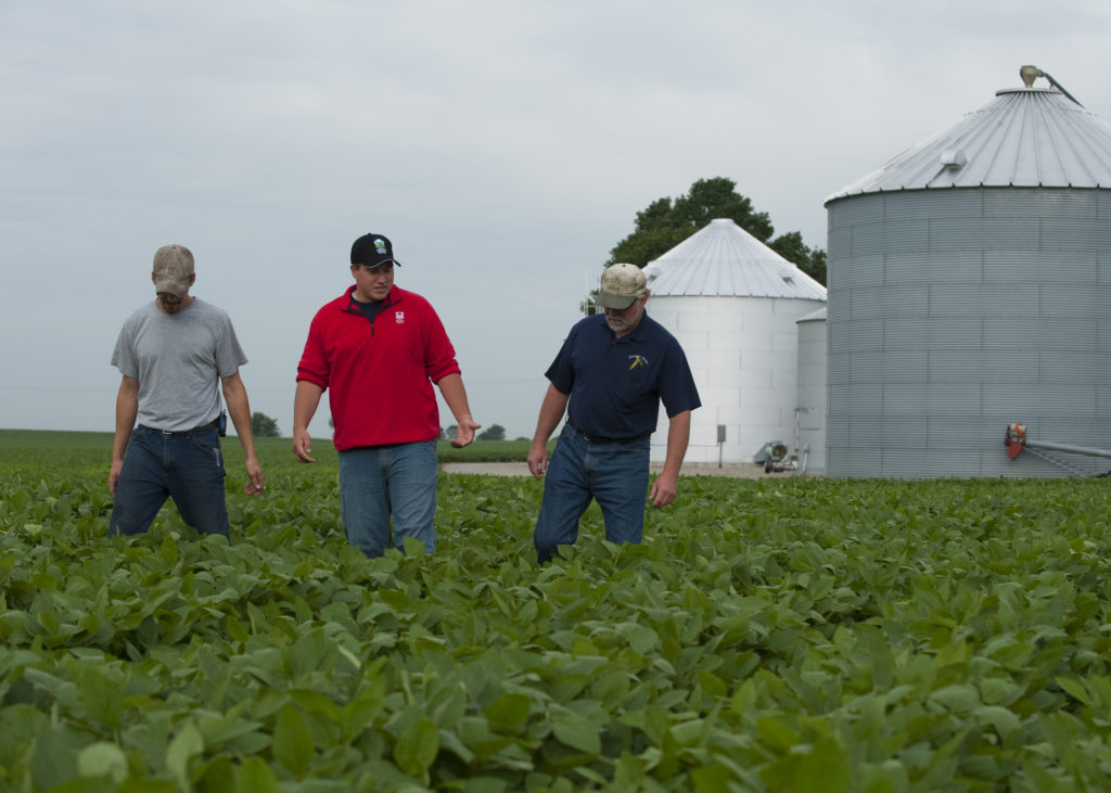 Services | Premier Ag